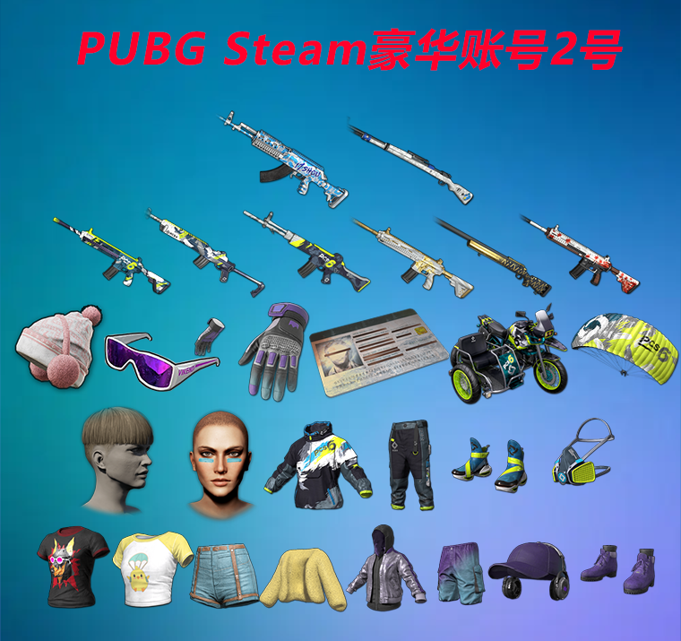 【可竞技】PUBG Steam豪华版账号:17SHOU联名M762+PCS6浓墨重彩M4/Mini/K2+内马尔M4+内马尔M24+改名卡+造王者套装+其他皮肤(详情见库存图)|cdkey ...